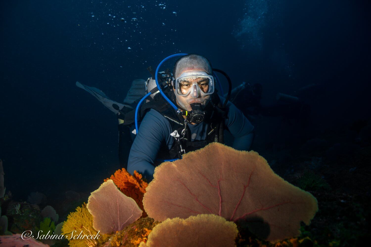Panama Dive Center | Diving Coiba National Park | Santa Catalina